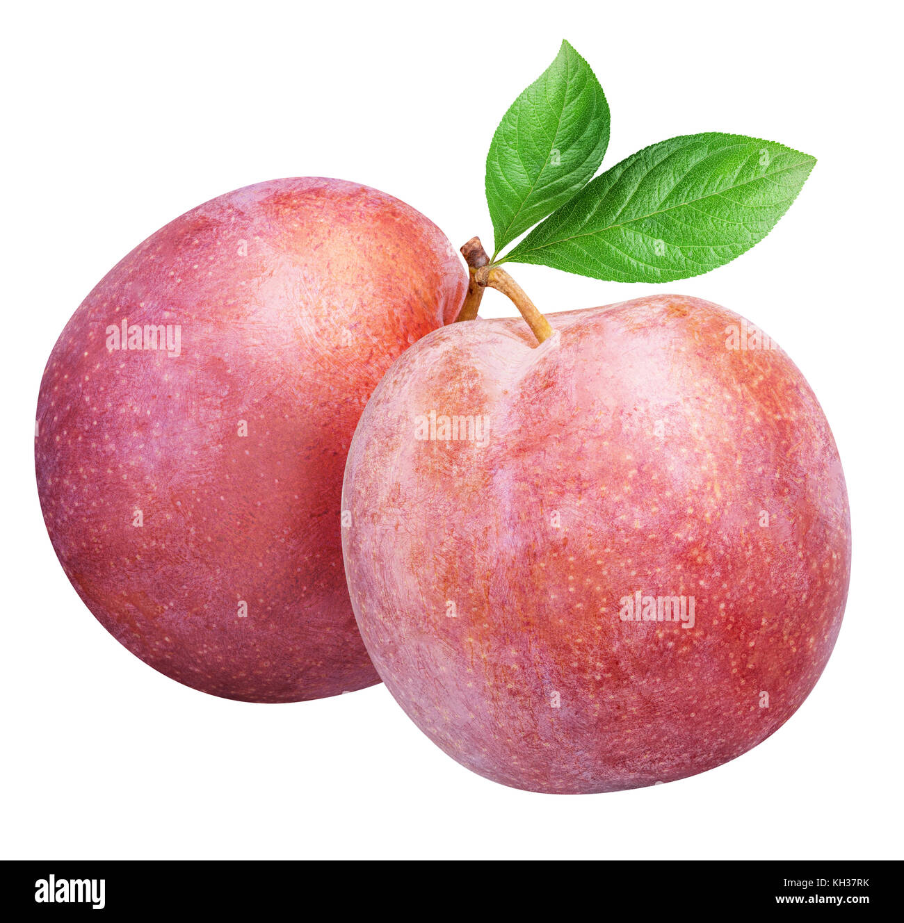 Group of plums isolated on white background with clipping path Stock ...