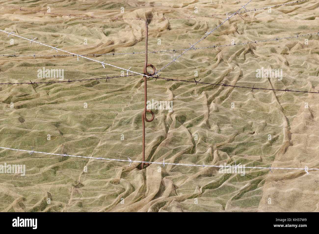 Trench texture hi-res stock photography and images - Alamy