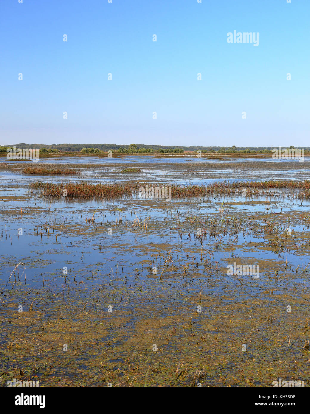 Vegetation levels hi-res stock photography and images - Alamy