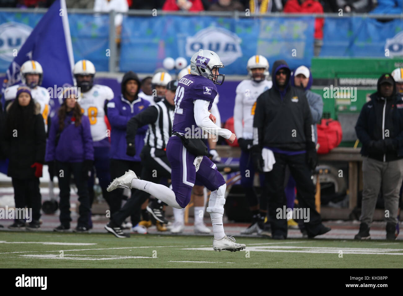 Western Mustangs # 12 Chris Merchant Stock Photo - Alamy