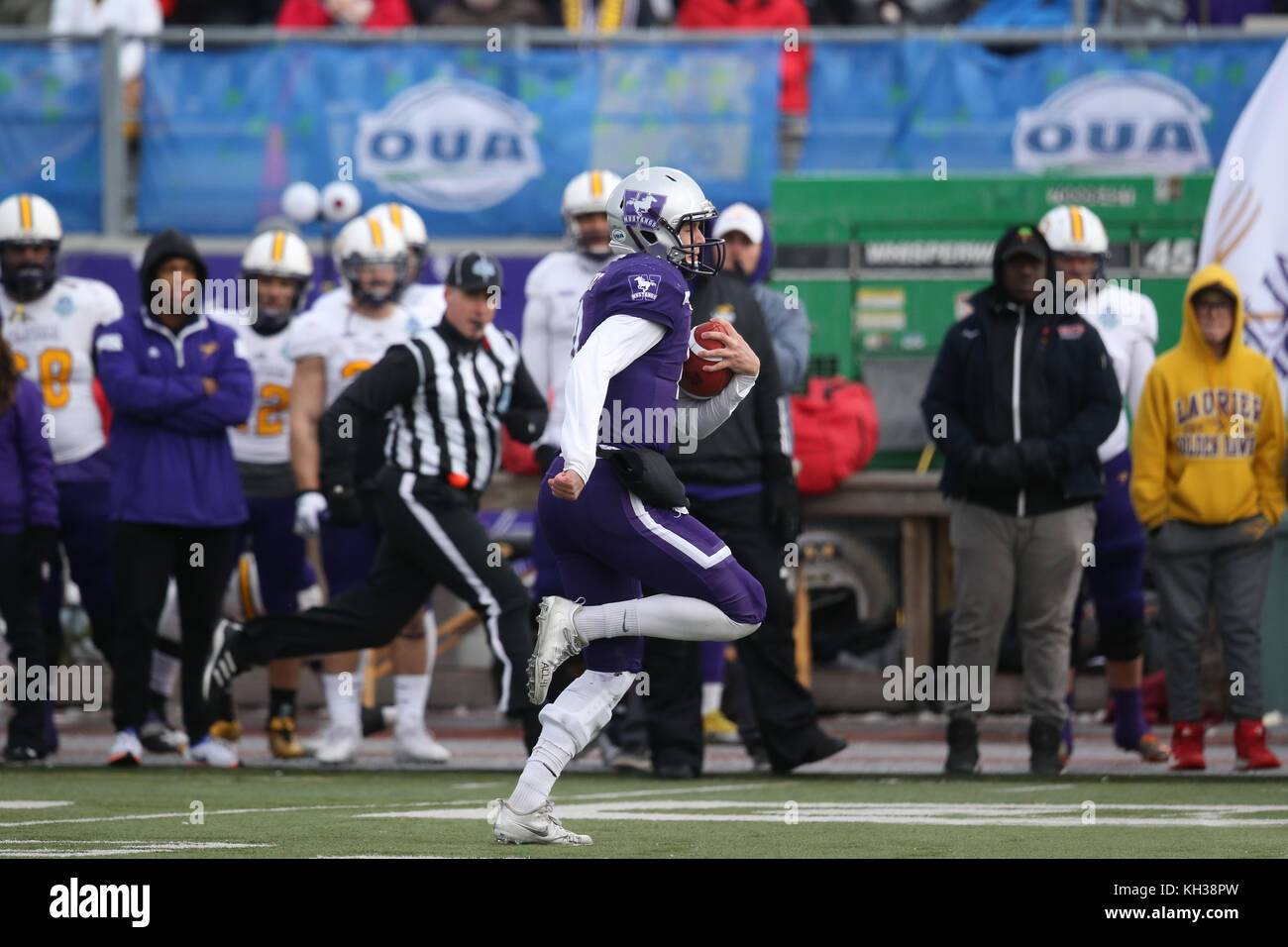 Western Mustangs # 12 Chris Merchant Stock Photo - Alamy