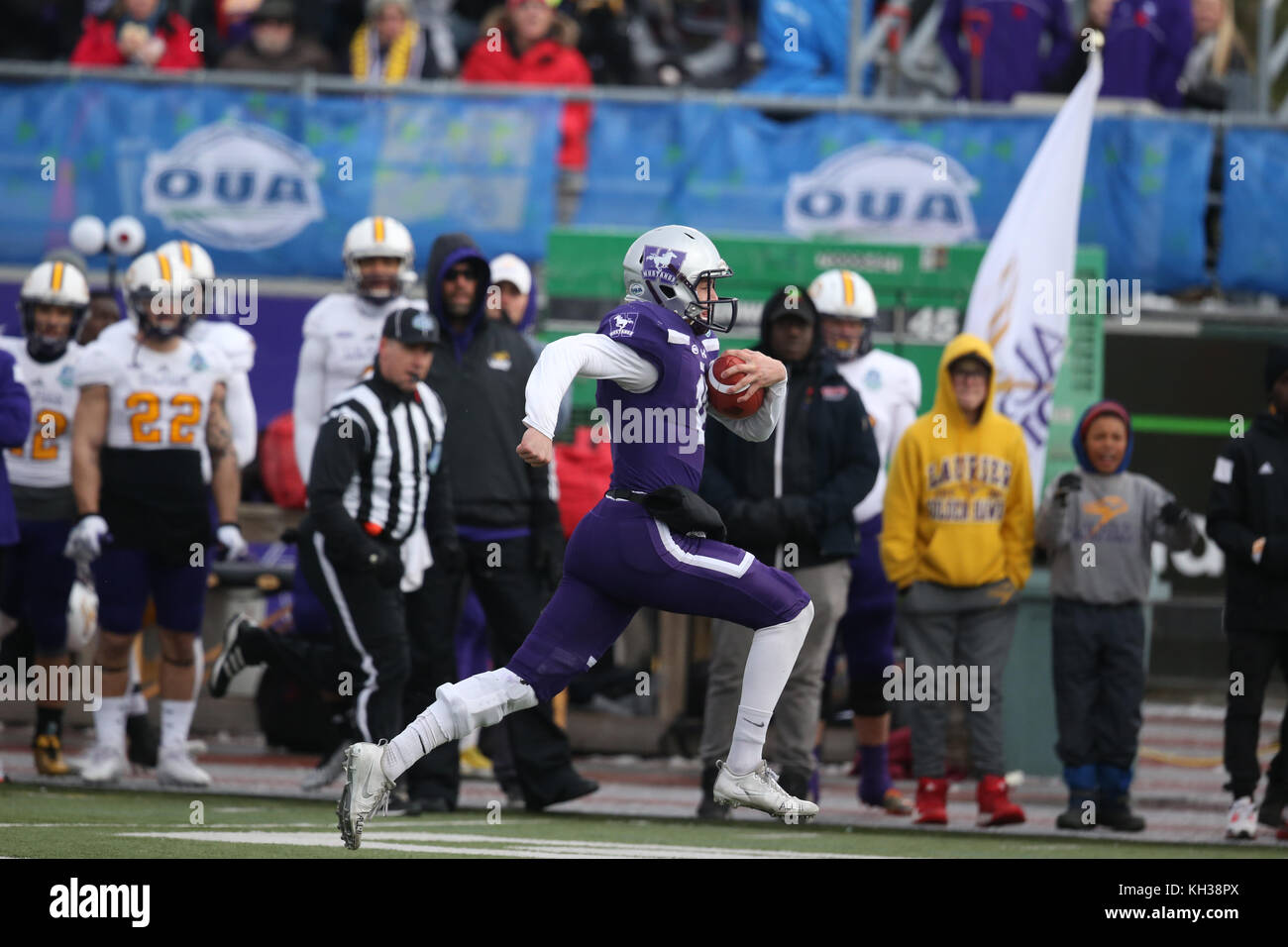 Western Mustangs # 12 Chris Merchant Stock Photo - Alamy