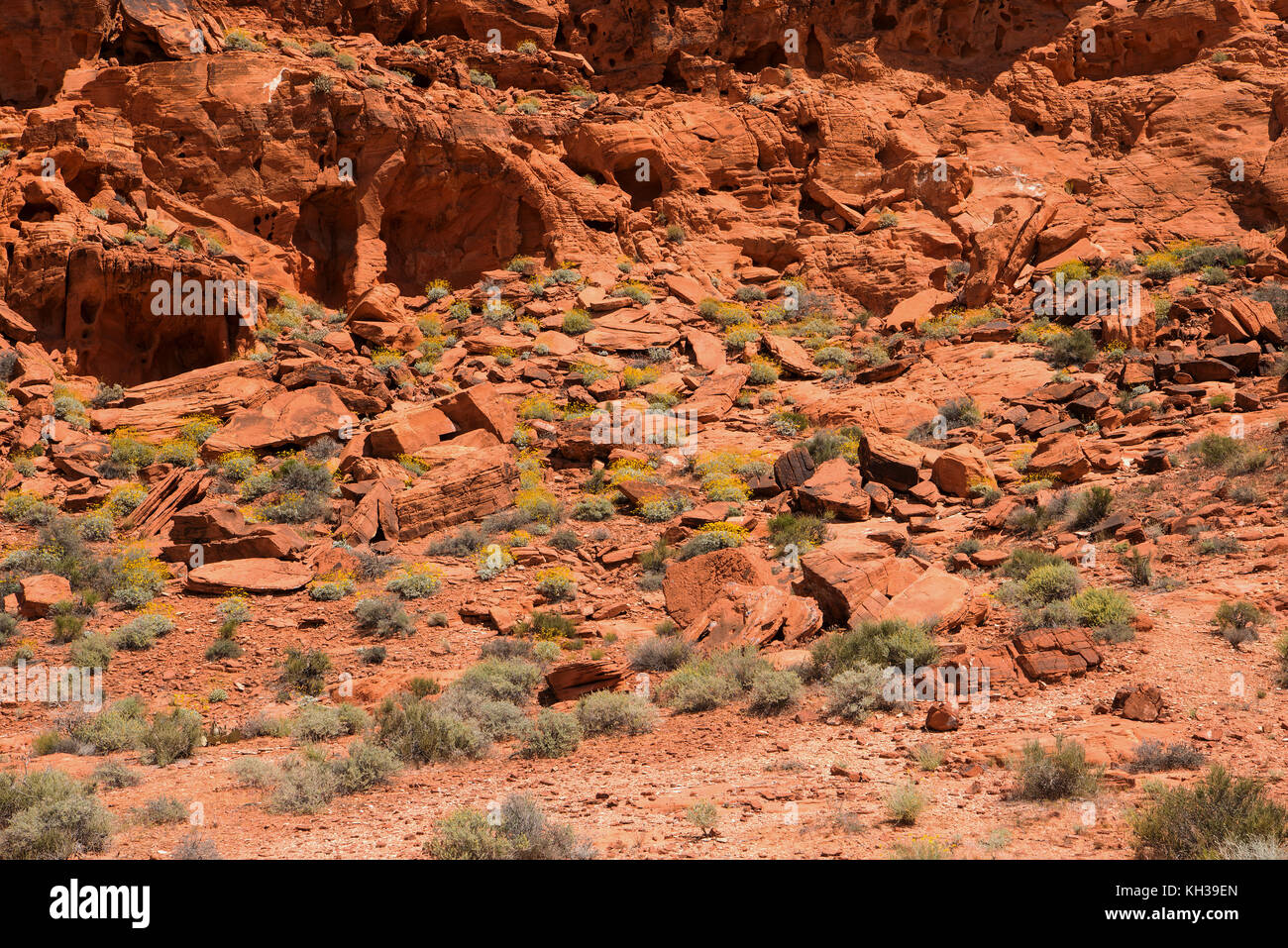 Aztec sandstone rock formations at the Valley of Fire State Park near ...