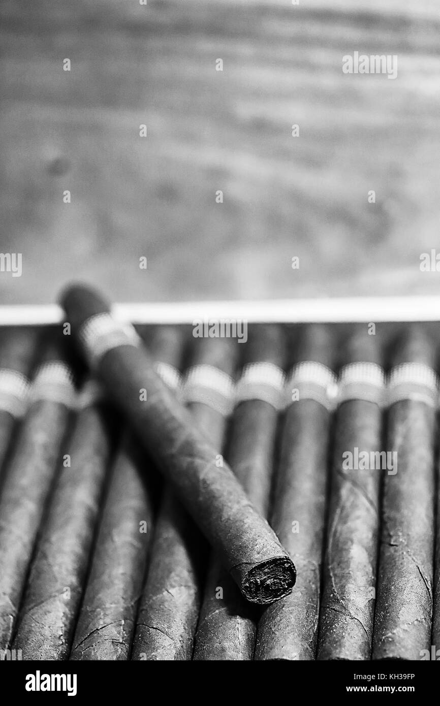 Havana cigar texture Black and White Stock Photos & Images - Alamy