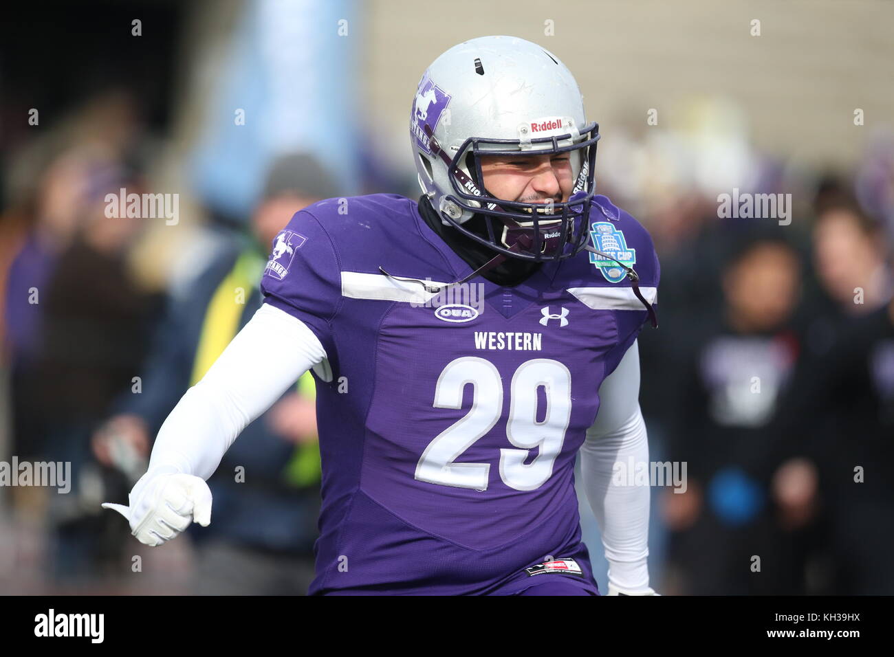 Western Mustangs #29 Antonio Valvano Stock Photo - Alamy