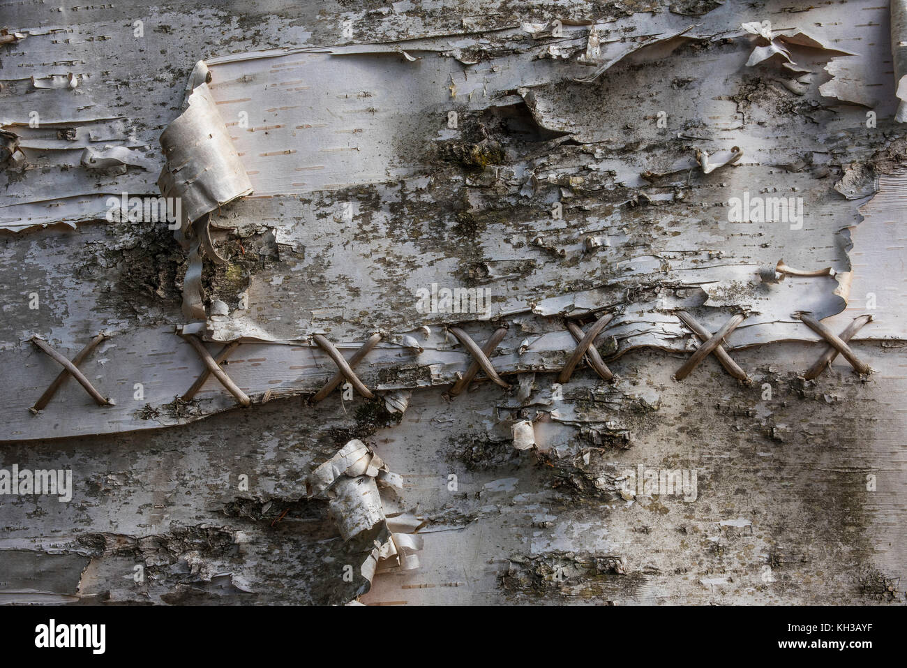 Anishinaabe birchbark house hi-res stock photography and images - Alamy