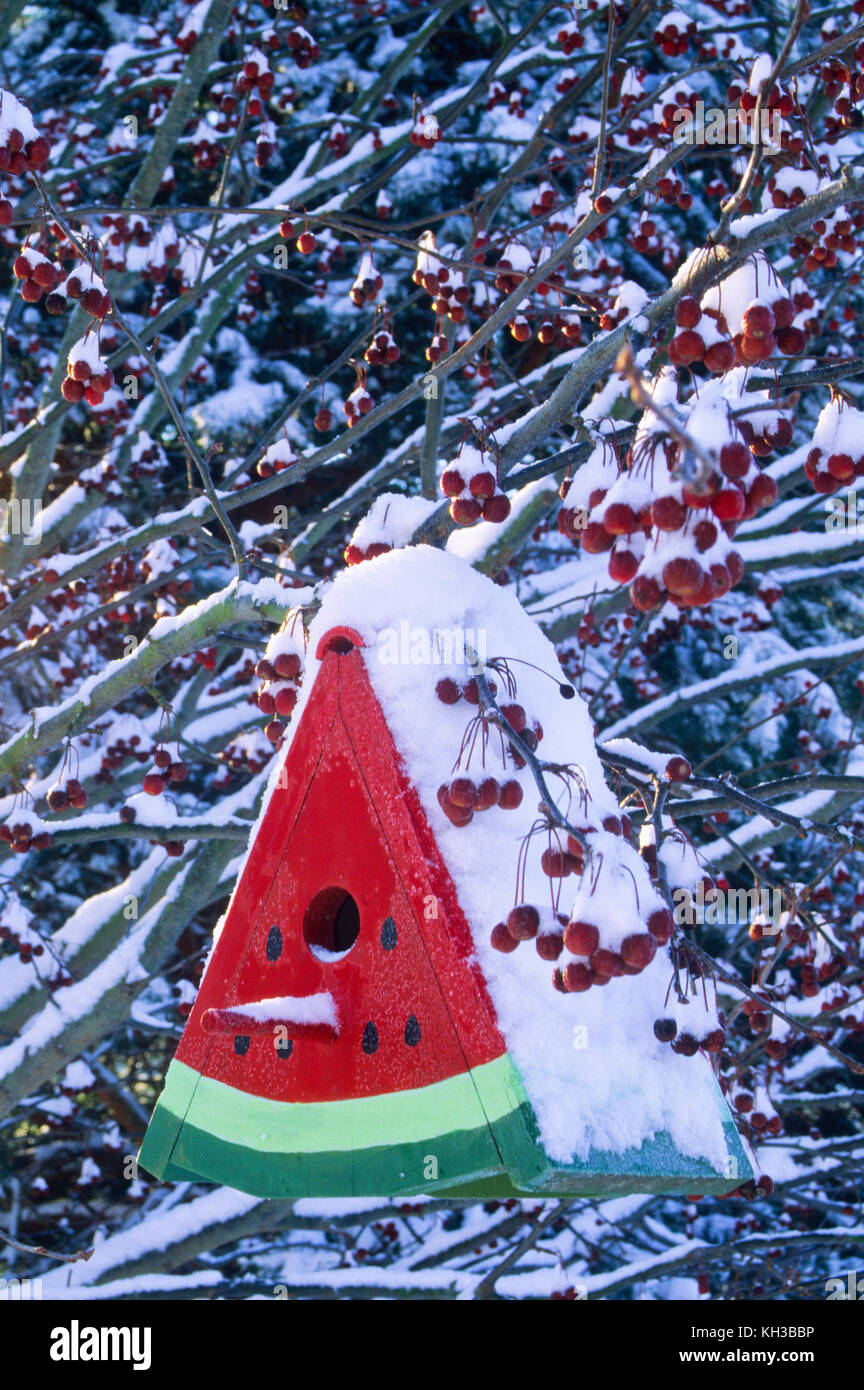 Watermelon Snow High Resolution Stock Photography and Images - Alamy