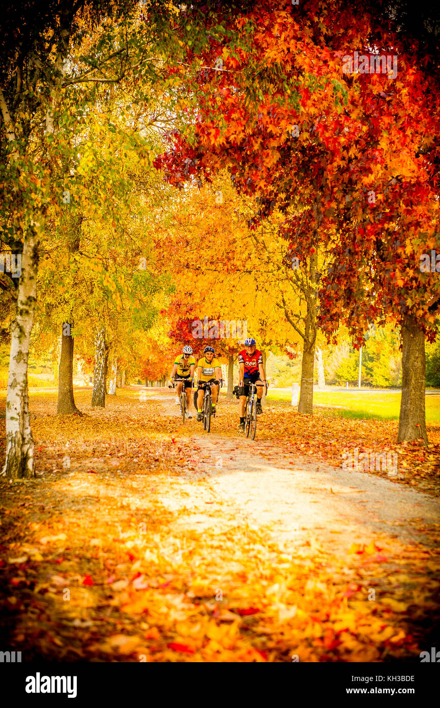 Australian alpine trails hi-res stock photography and images - Alamy