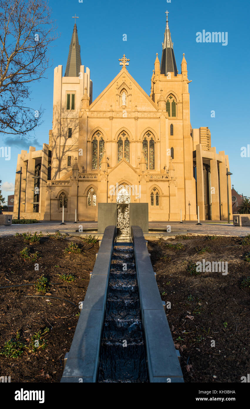 Cathedral of the immaculate conception of the blessed virgin mary hi ...