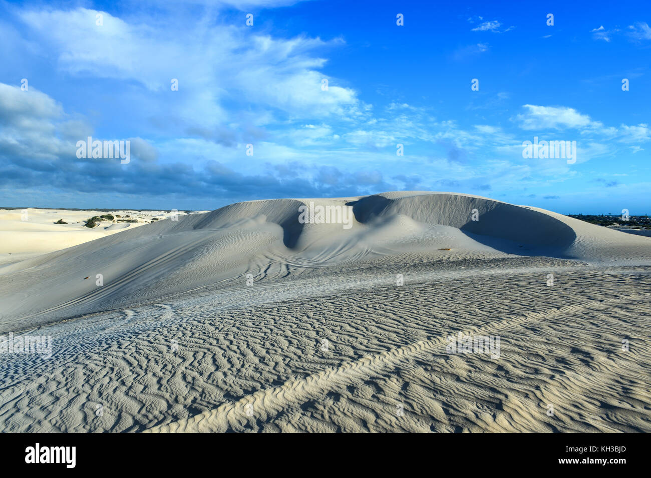 White sand dunes of Nilgen Nature Reserve. Located near Lancelin ...