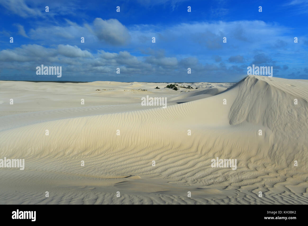 White sand dunes of Nilgen Nature Reserve. Located near Lancelin ...