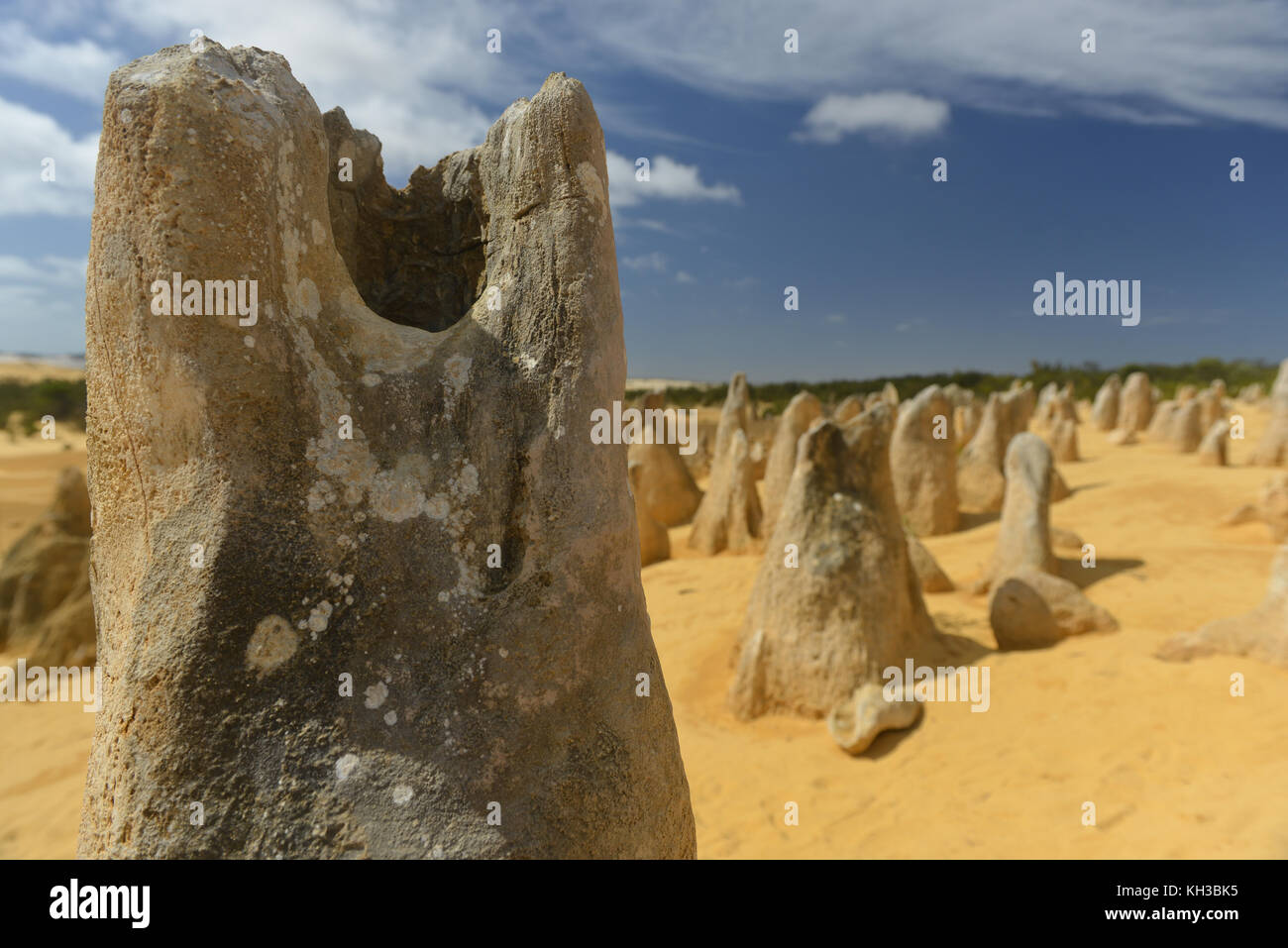 The Pinnacles in the Nambung National Park, Western Australia. The ...