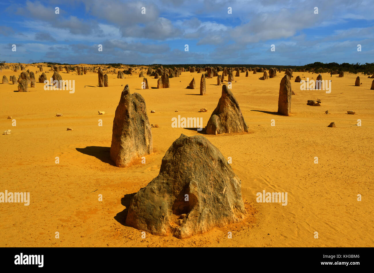 The Pinnacles in the Nambung National Park, Western Australia. The ...