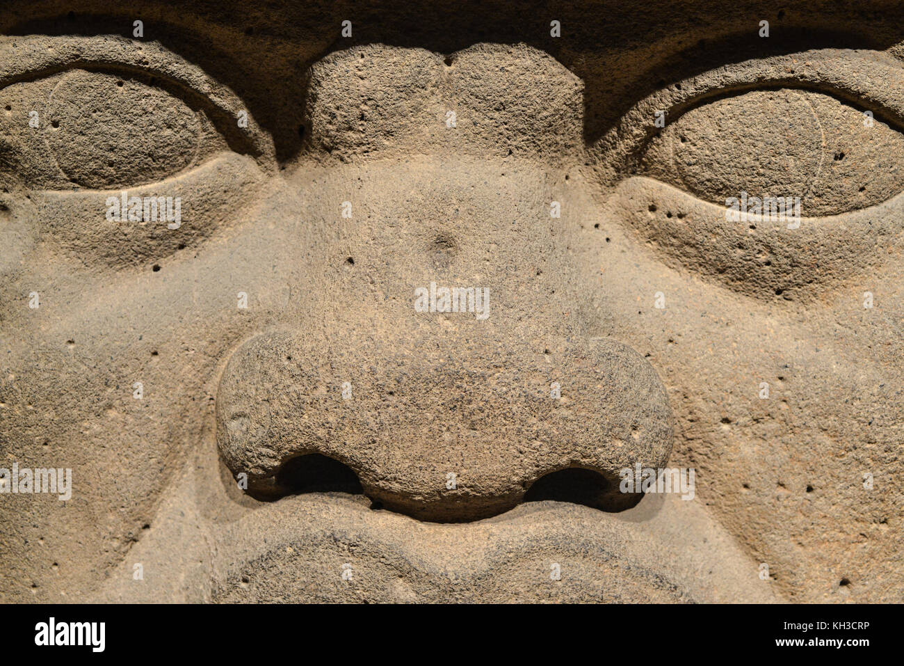 An Olmec colossal head sculpted from a large basalt boulder. The head ...