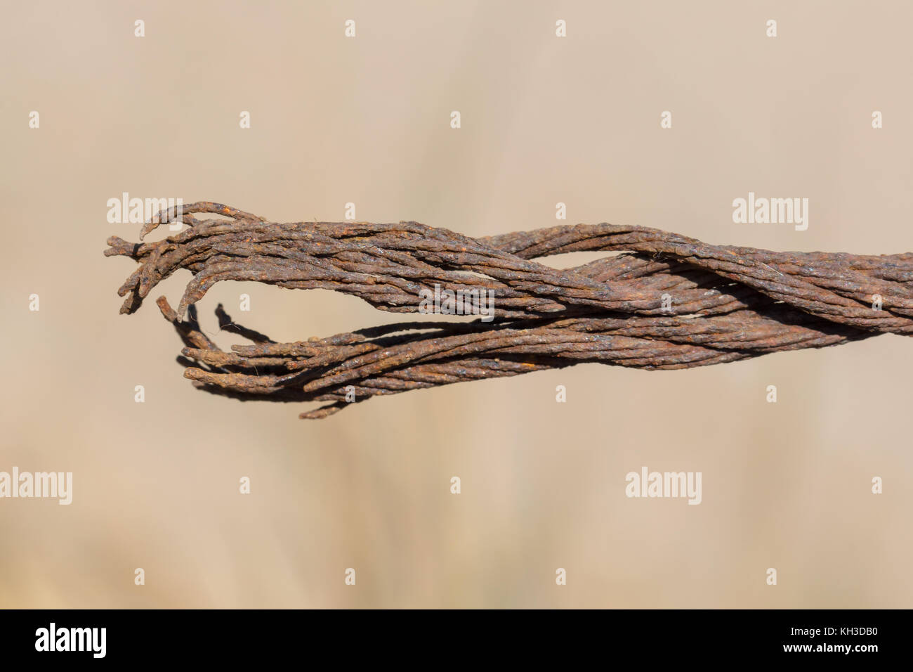 Abandoned rusty steel cable waiting to be used - Selective focus Stock ...
