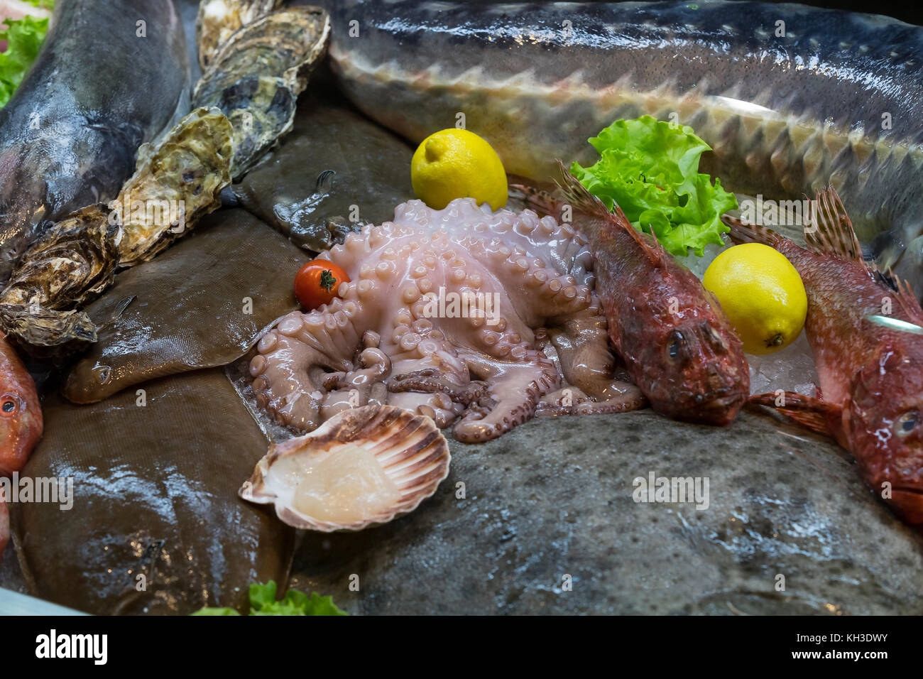 Background of fresh seafood fish clams crabs Stock Photo - Alamy