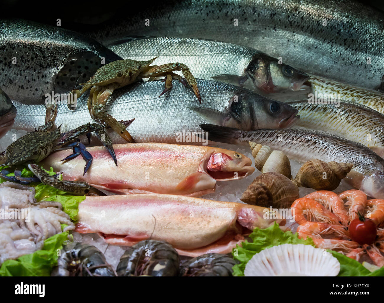 Background of fresh seafood fish clams crabs Stock Photo - Alamy