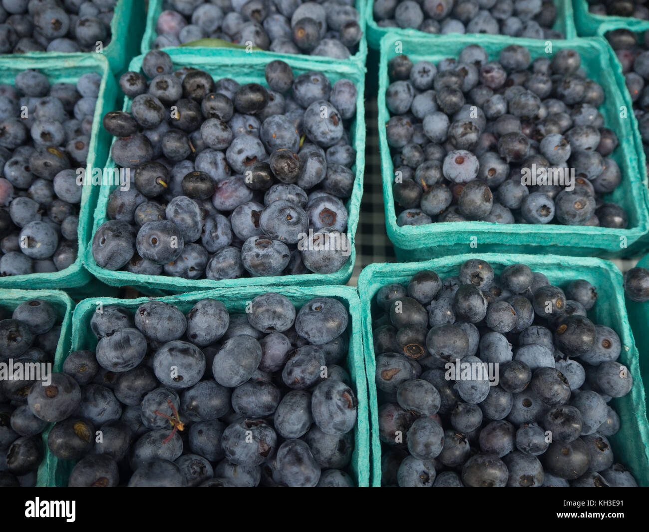 Blueberries at the farmers market Stock Photo - Alamy