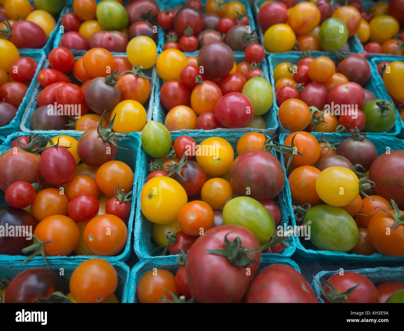 Tomatoes at the farmers market Stock Photo - Alamy