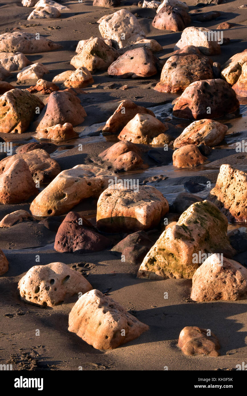 A cluster or group of small round pointed rocks on a wet beach casting ...
