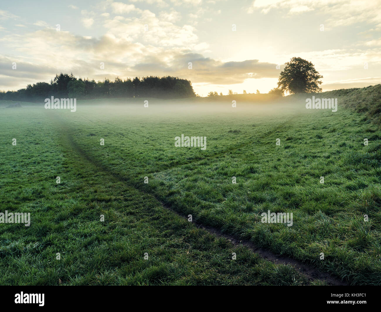 Early Autumn countryside morning,Northern Ireland Stock Photo - Alamy