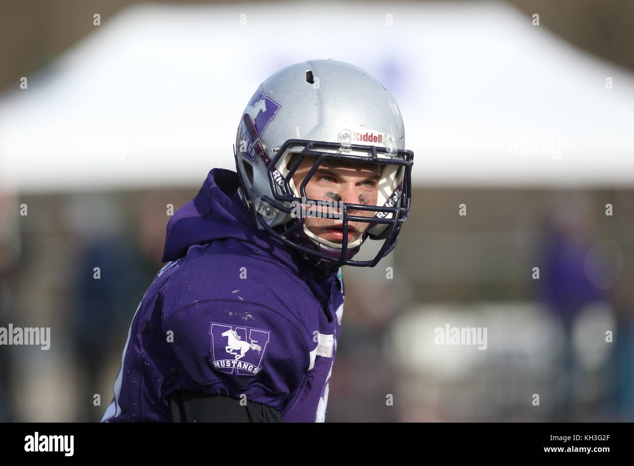 Western Mustangs # 32 Fraser Sopik Stock Photo - Alamy