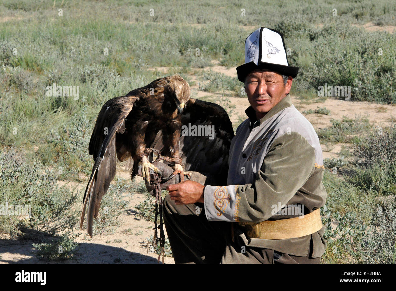 Eagle hunts hi-res stock photography and images - Alamy