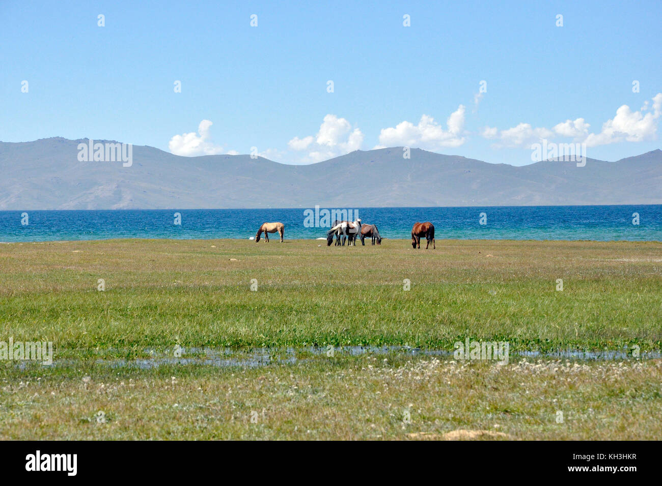 Kyrgyzstan,Song Kul lake Stock Photo - Alamy
