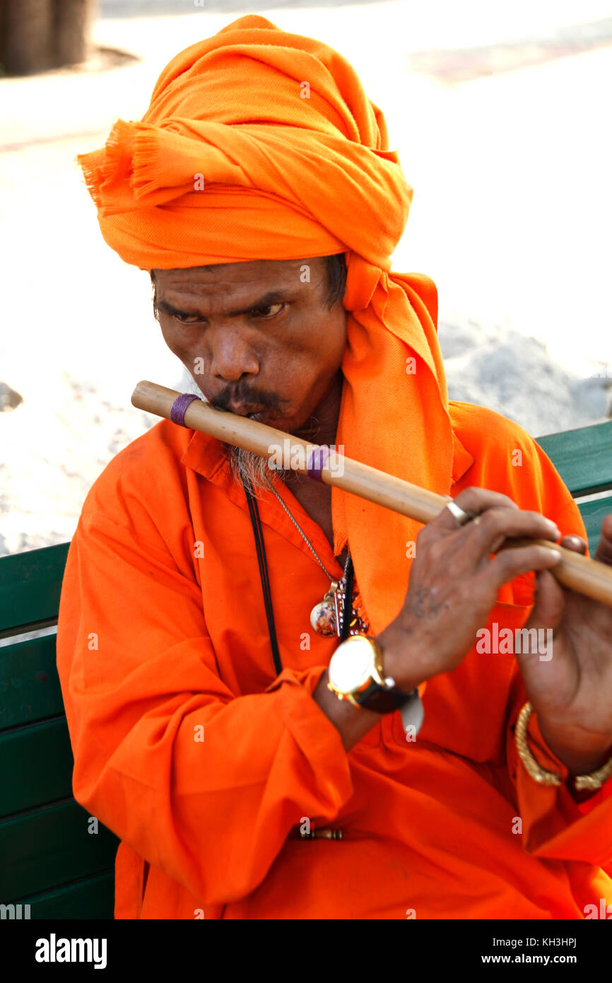 Sadhu (Baba), Hindu Priest, Indian Holy Man, Badarinath, Himalayas ...