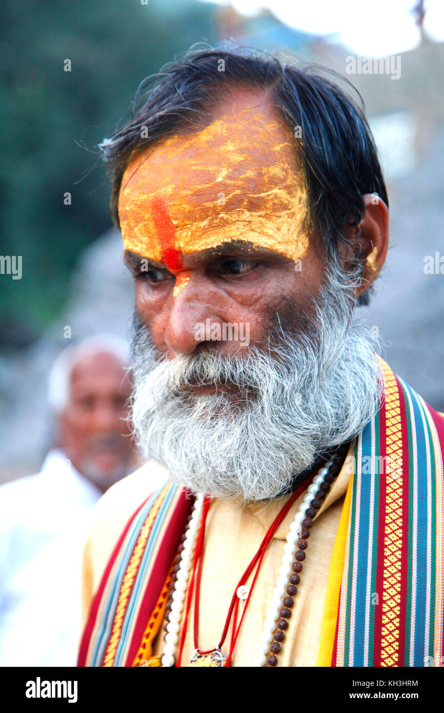 Sadhu (Baba), Hindu Priest, Indian Holy Man, Badarinath, Himalayas ...