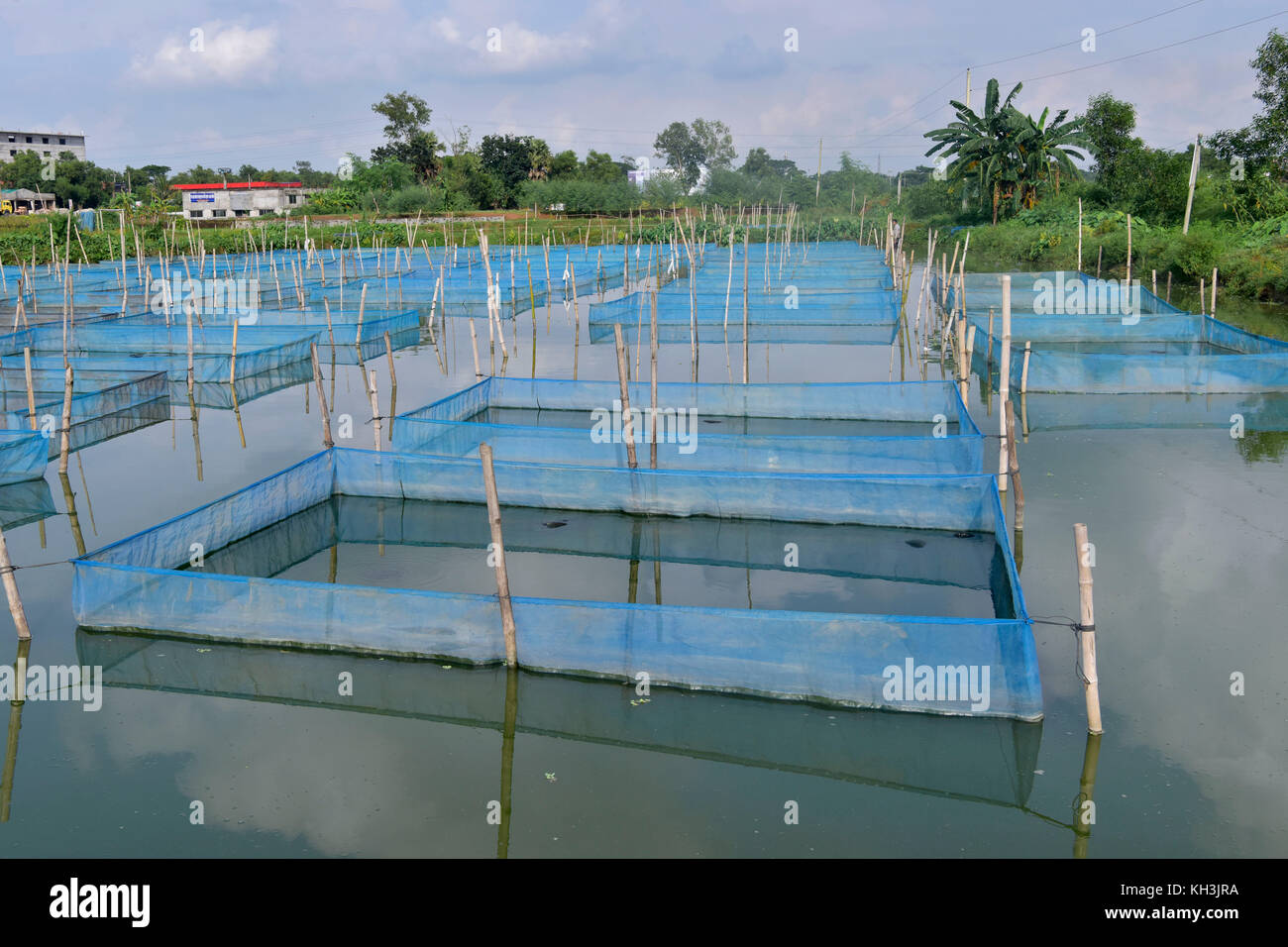 COMILLA, BANGLADESH : Net cages set in the cannel to cultivate fish at ...