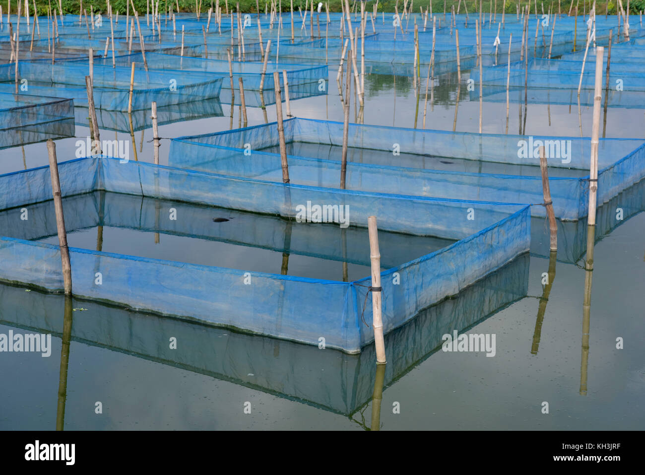 COMILLA, BANGLADESH : Net cages set in the cannel to cultivate fish at ...