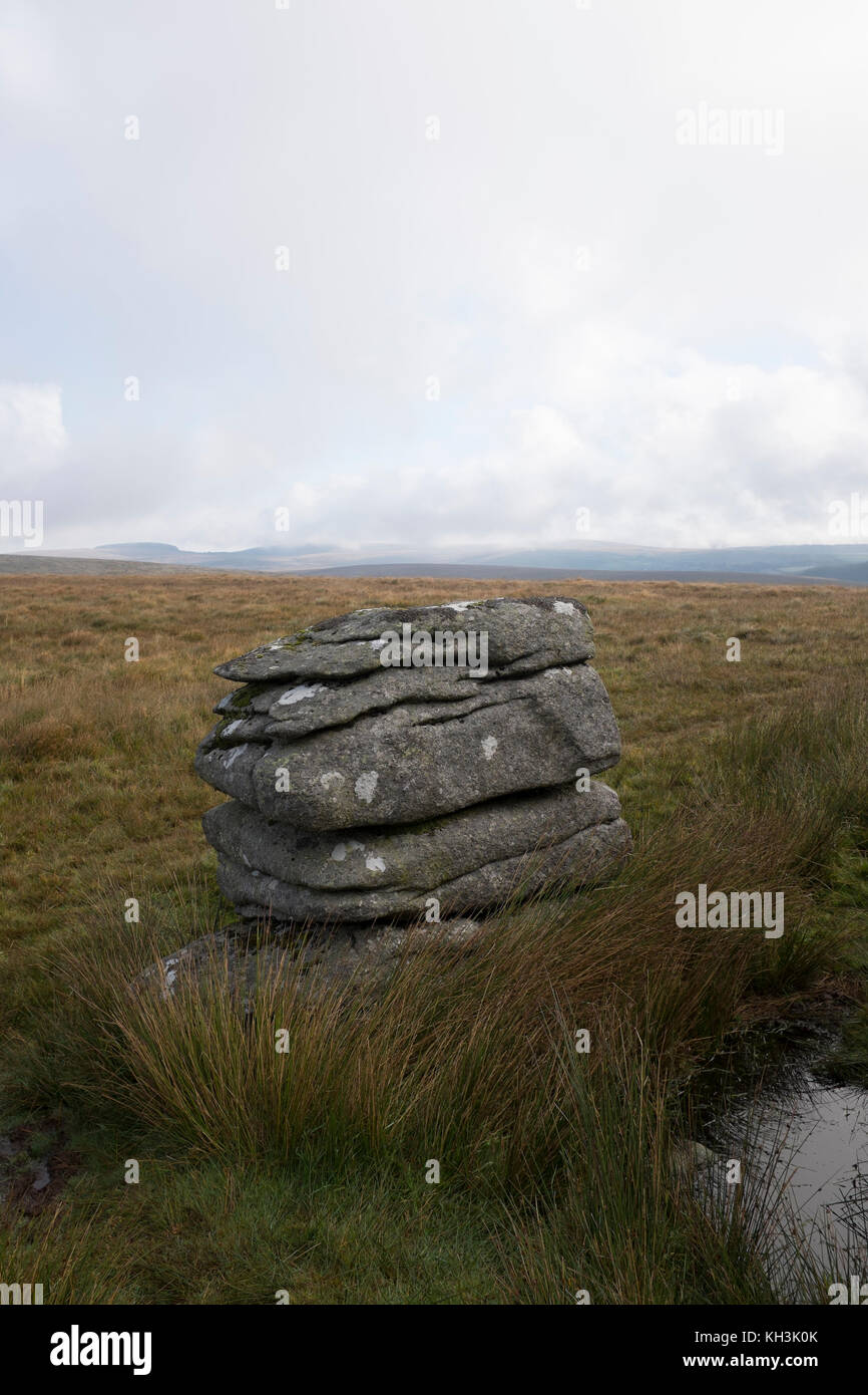 A moor at Dartmoor National Park Stock Photo - Alamy