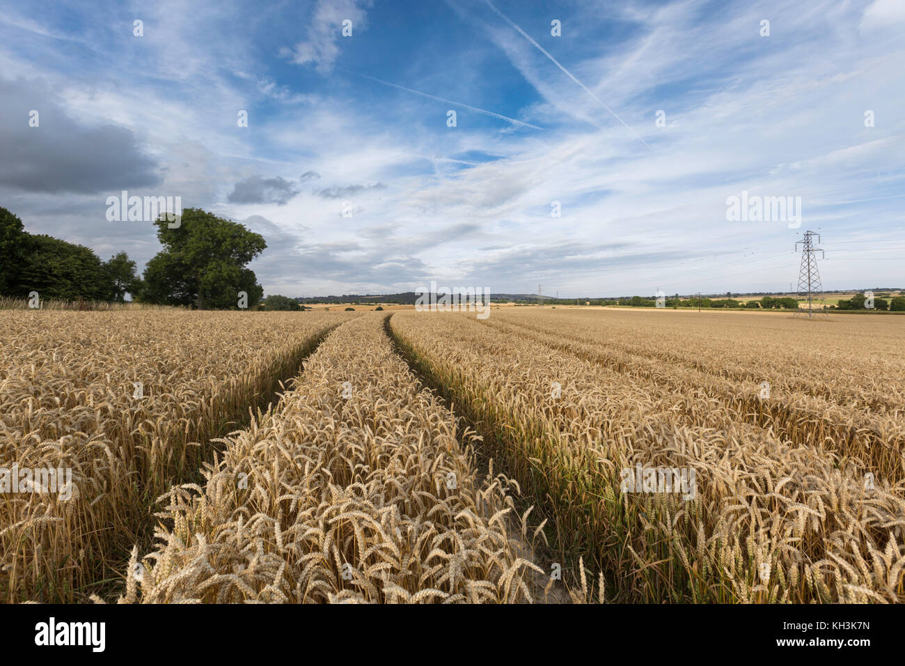True field hi-res stock photography and images - Alamy