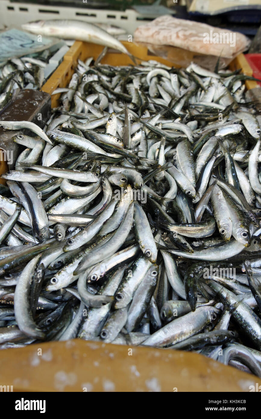 traditional fish market in split in croatia Stock Photo - Alamy