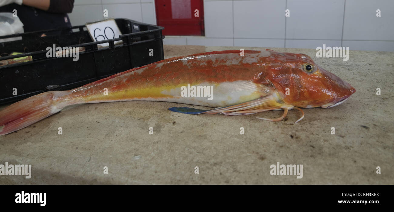 traditional fish market in split in croatia Stock Photo - Alamy