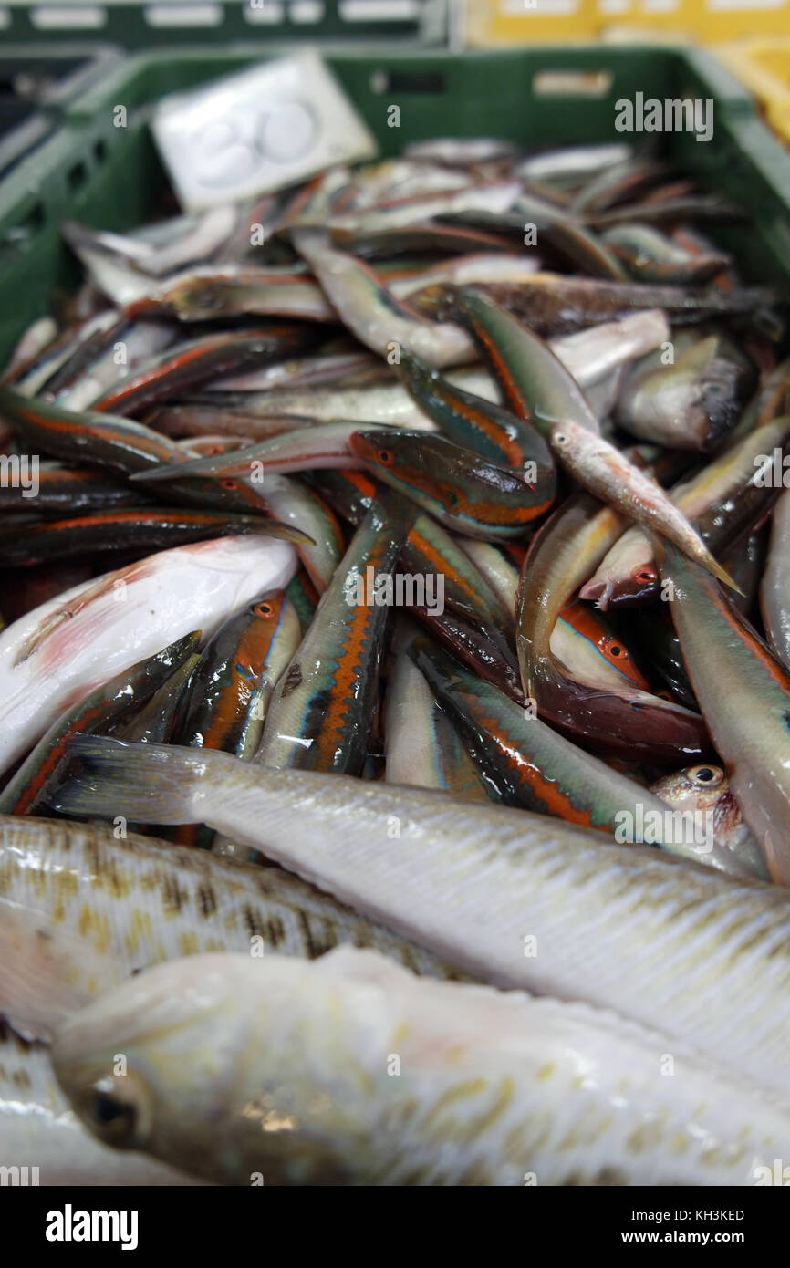 traditional fish market in split in croatia Stock Photo - Alamy