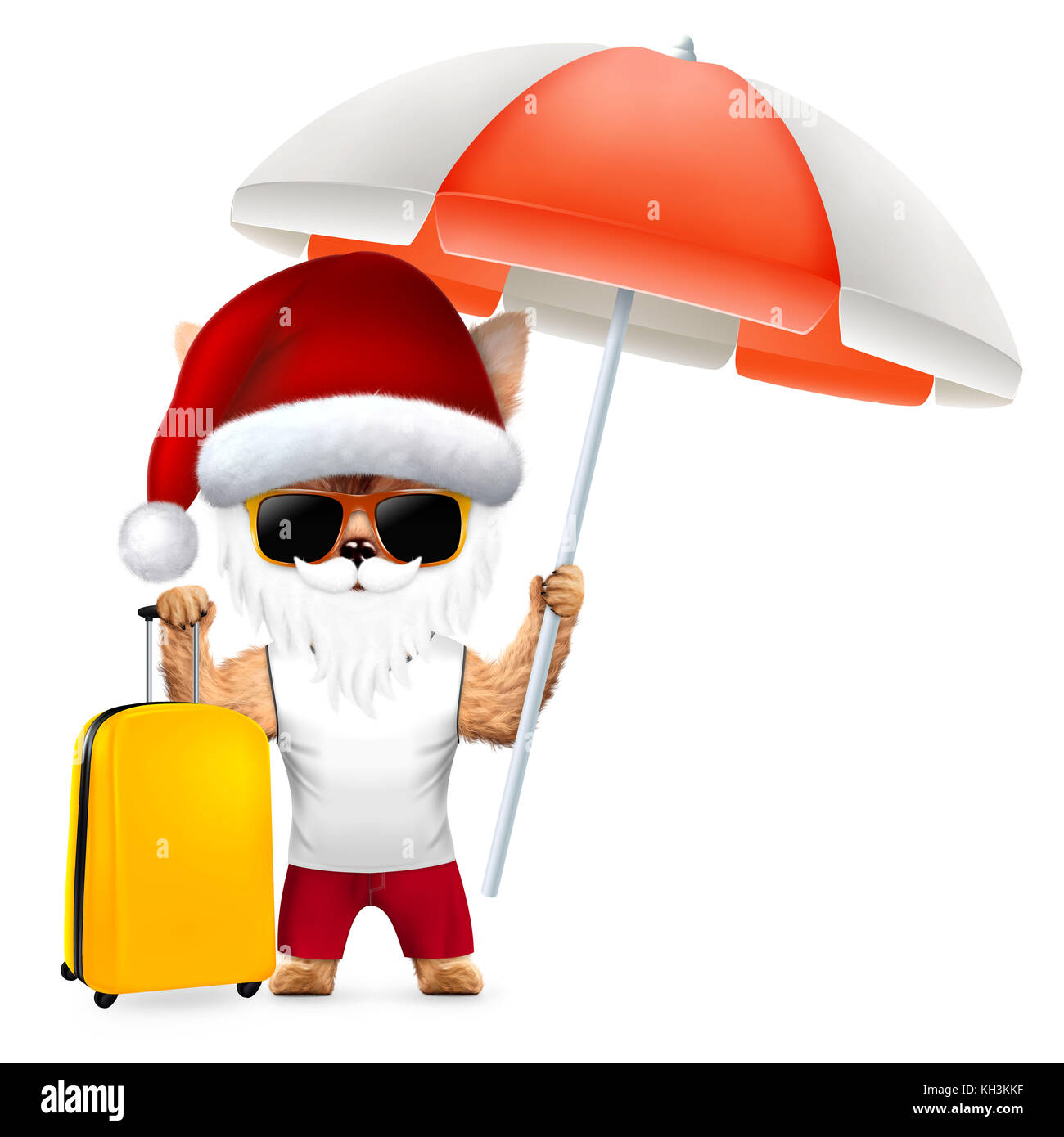 Cute Dog Santa on a beach holidays Stock Photo - Alamy