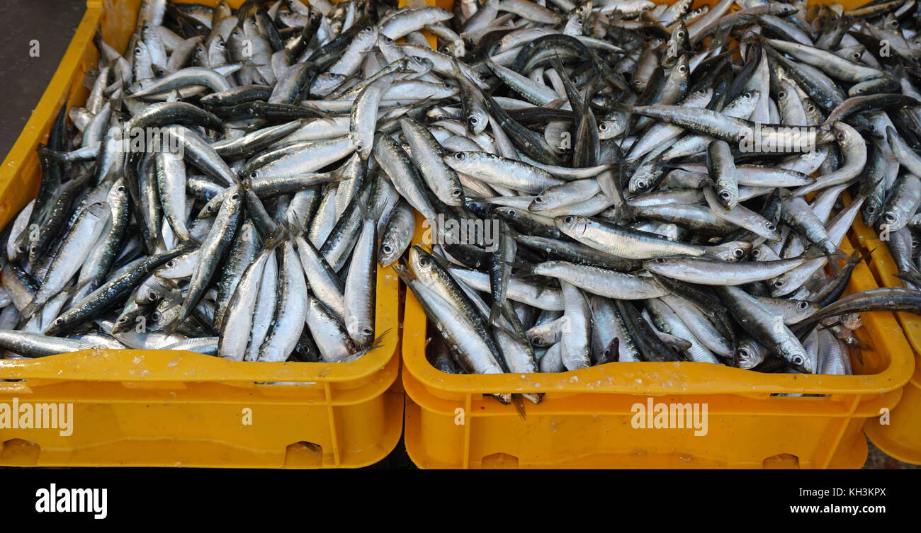 traditional fish market in split in croatia Stock Photo - Alamy