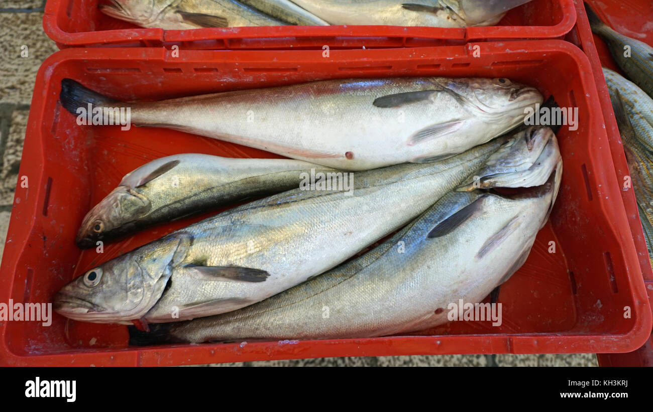 traditional fish market in split in croatia Stock Photo - Alamy
