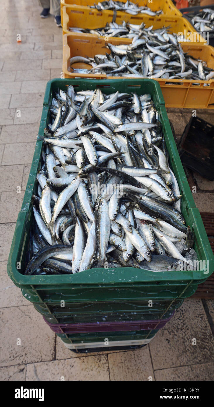 traditional fish market in split in croatia Stock Photo - Alamy