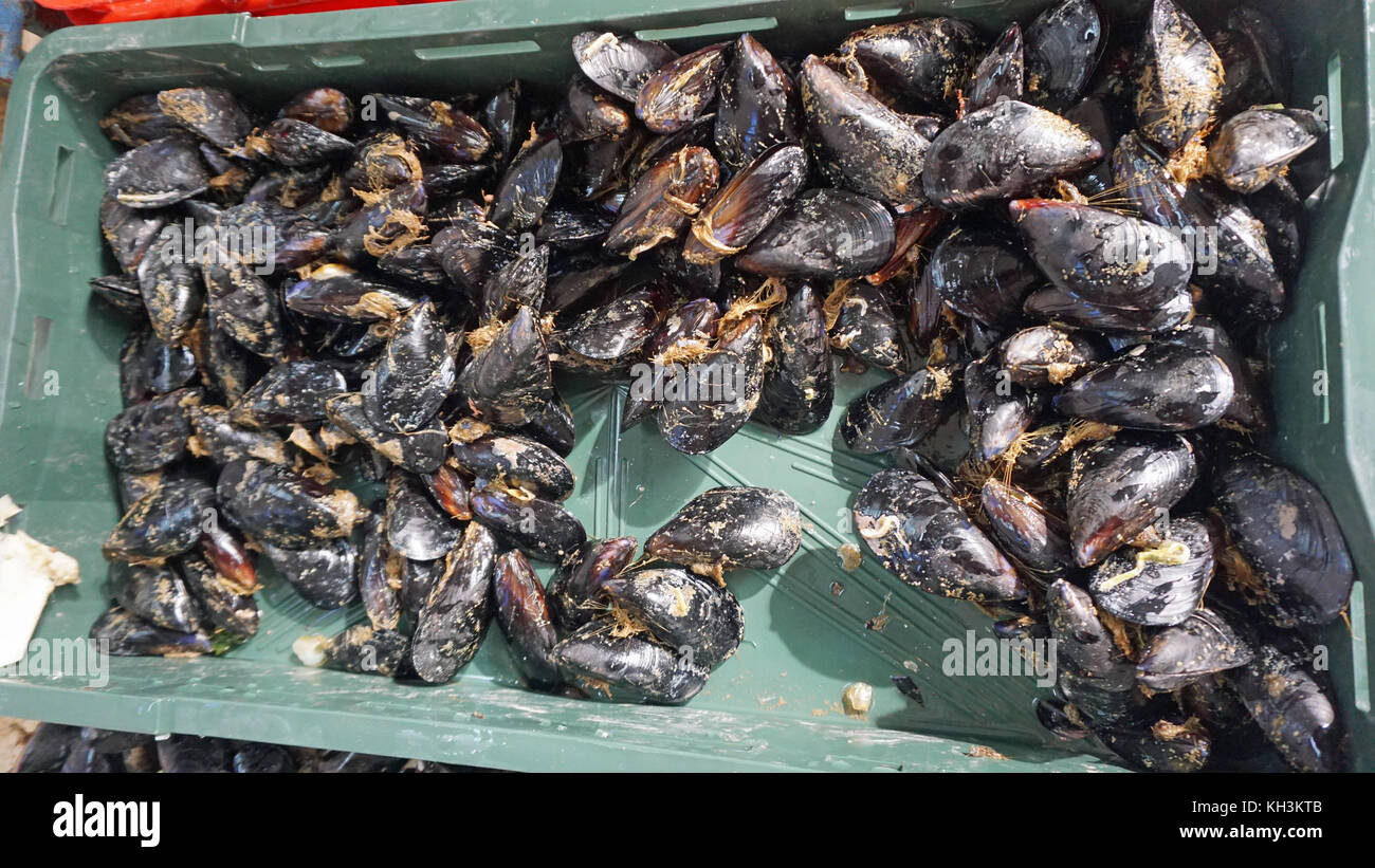 traditional fish market in split in croatia Stock Photo - Alamy