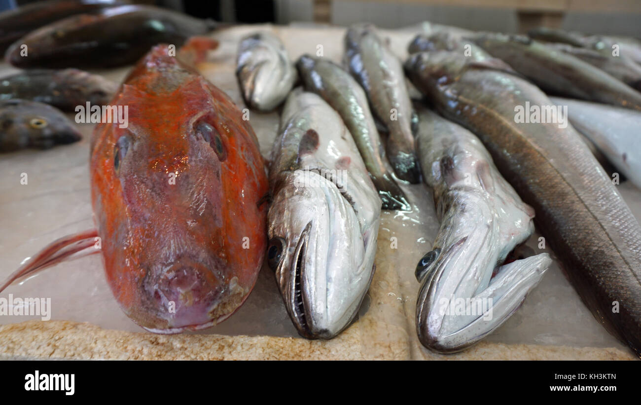 traditional fish market in split in croatia Stock Photo - Alamy