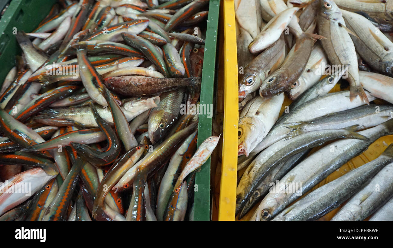 traditional fish market in split in croatia Stock Photo - Alamy