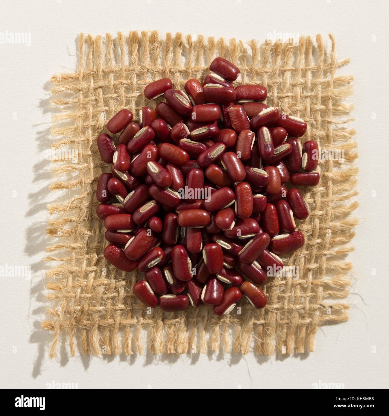 Vigna angularis is scientific name of Adzuki Bean legume. Also known as Azuki and Japanese Bean ...