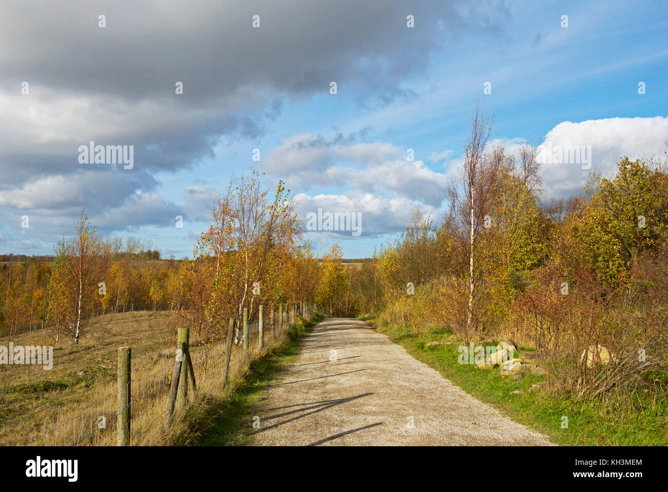Fairburn Ings, an RSPB nature reserve, West Yorkshire, England UK Stock ...