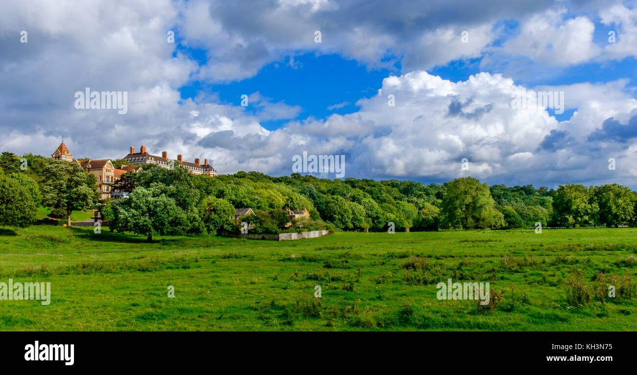 Petersham Meadows in summer, Richmond London U.K Stock Photo - Alamy