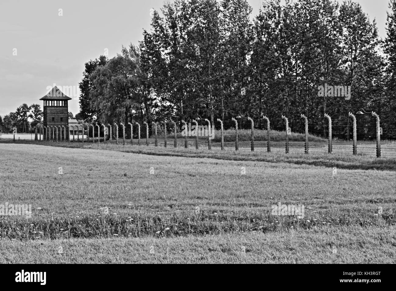 Barbed wire electrical fence at Auschwitz-Birkenau concentration camp ...