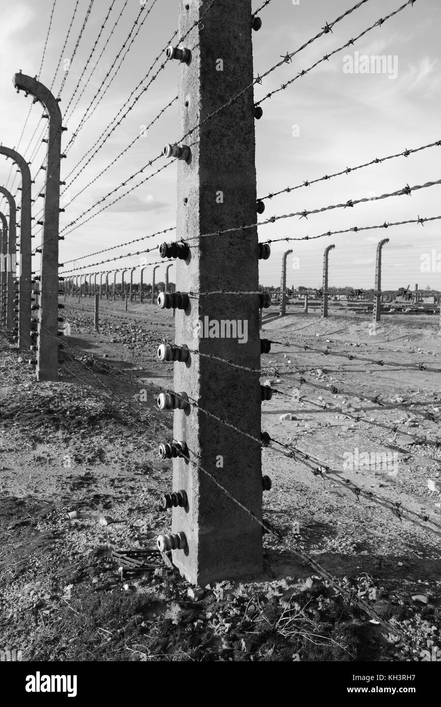 Barbed wire electrical fence at Auschwitz-Birkenau concentration camp ...