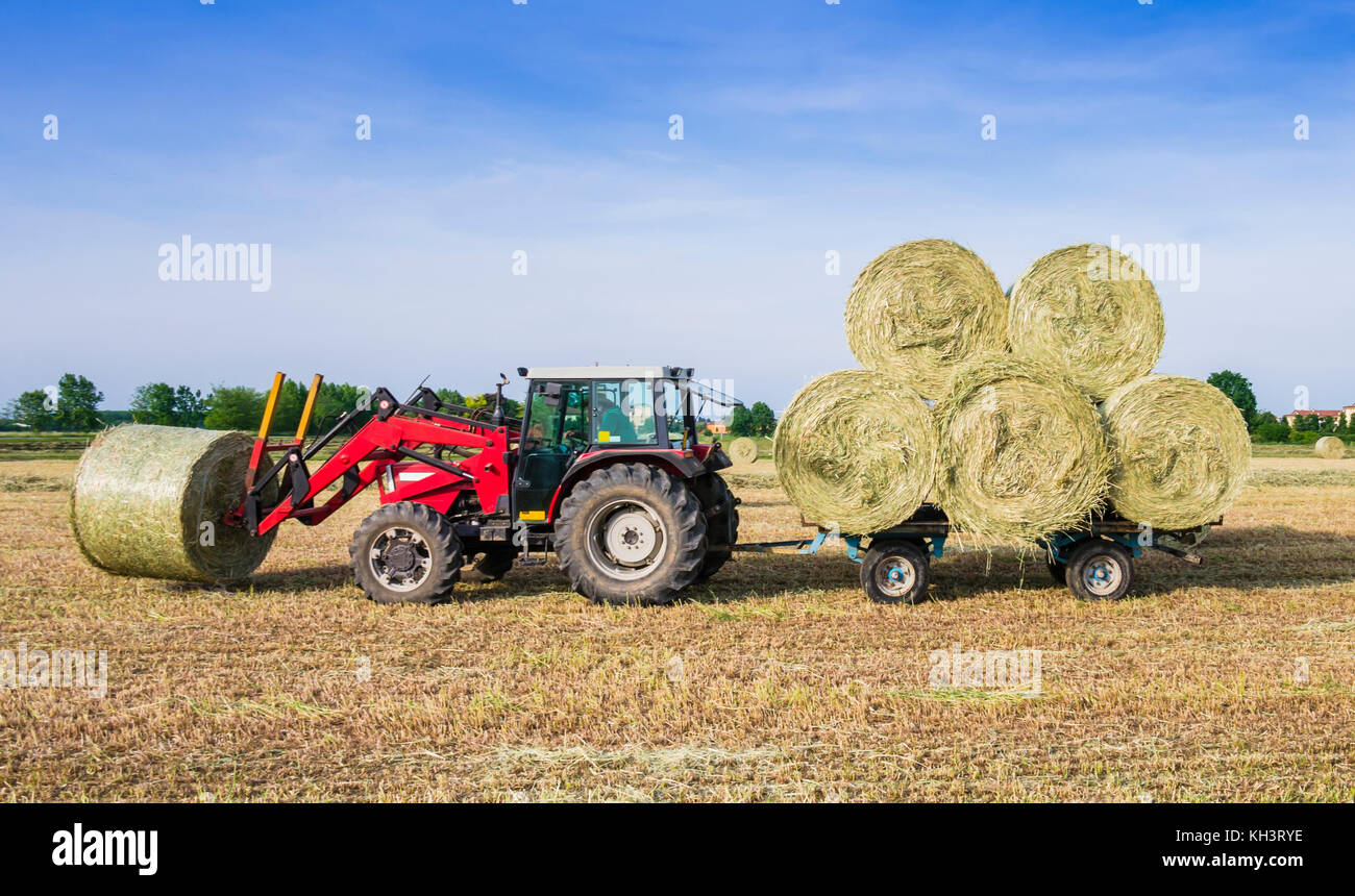 Tractor collecting hay bales in the fields Stock Photo - Alamy